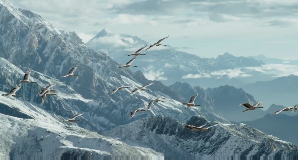 Disneynature's Born in China Trailer - Coming Earth Day 2017 - Pro Pet Hero