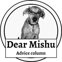 Dear Mishu - What is the Most Important Thing Dog Owners Should Know ...