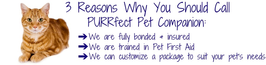 The Pet Safe Business Spotlight - PURRfect Pet Companion, LLC - Pro Pet ...