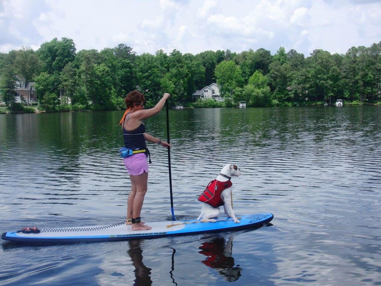 SUP with Your Pup - Stand Up Paddle - Pro Pet Hero