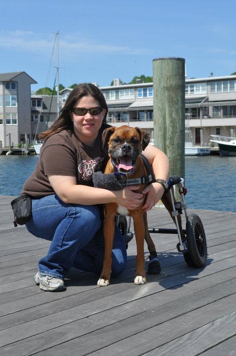 How Do You Know When It's Time to Let Your Pet Go? - Pro Pet Hero