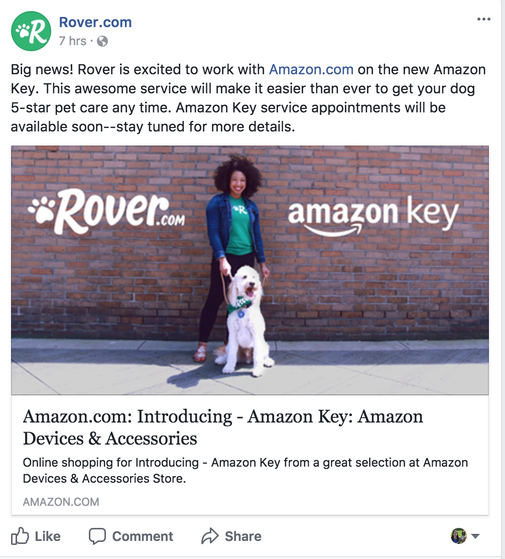 Amazon Key Teams up with Rover - Pro Pet Hero