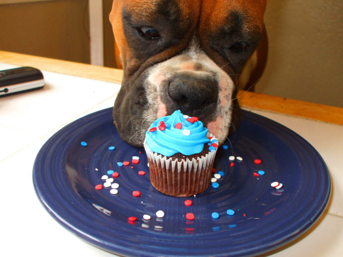 Help Support a Proposed Federal Law on Xylitol Label Warnings - Pro Pet ... Help Support a Proposed Federal Law on Xylitol Label Warnings - Pro Pet ...