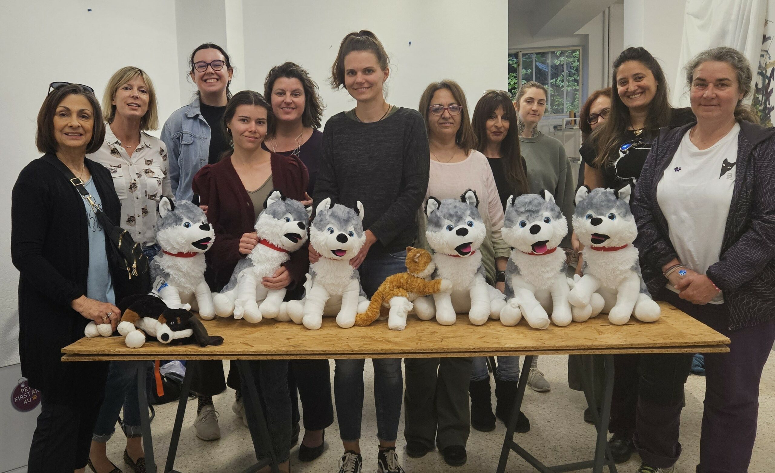 Learning Pet First Aid Generates Global Interest - Pro Pet Hero